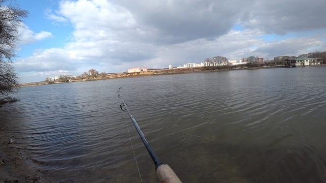 поклёвка щуки на мандулу! почти на берегу!