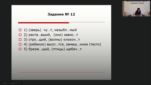 Русский язык 11 класс