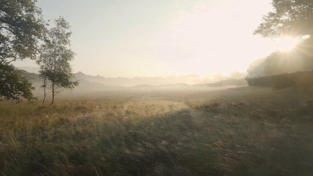 "Я тебя люблю" Максим Денисов .Читает Ярамат.