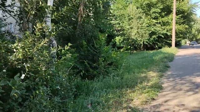 город #стерлитамак. 21июля 2022г. Мимоходом по ул. Шафиева.