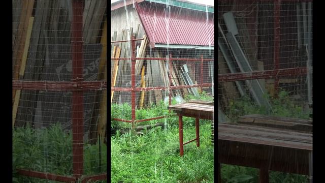 Вот такие дожди в Татарстане!