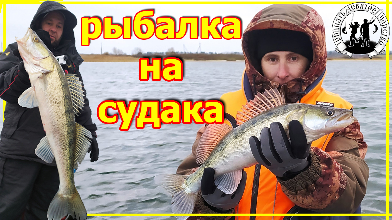 Ловля судака.  Пастухи пасут леща.