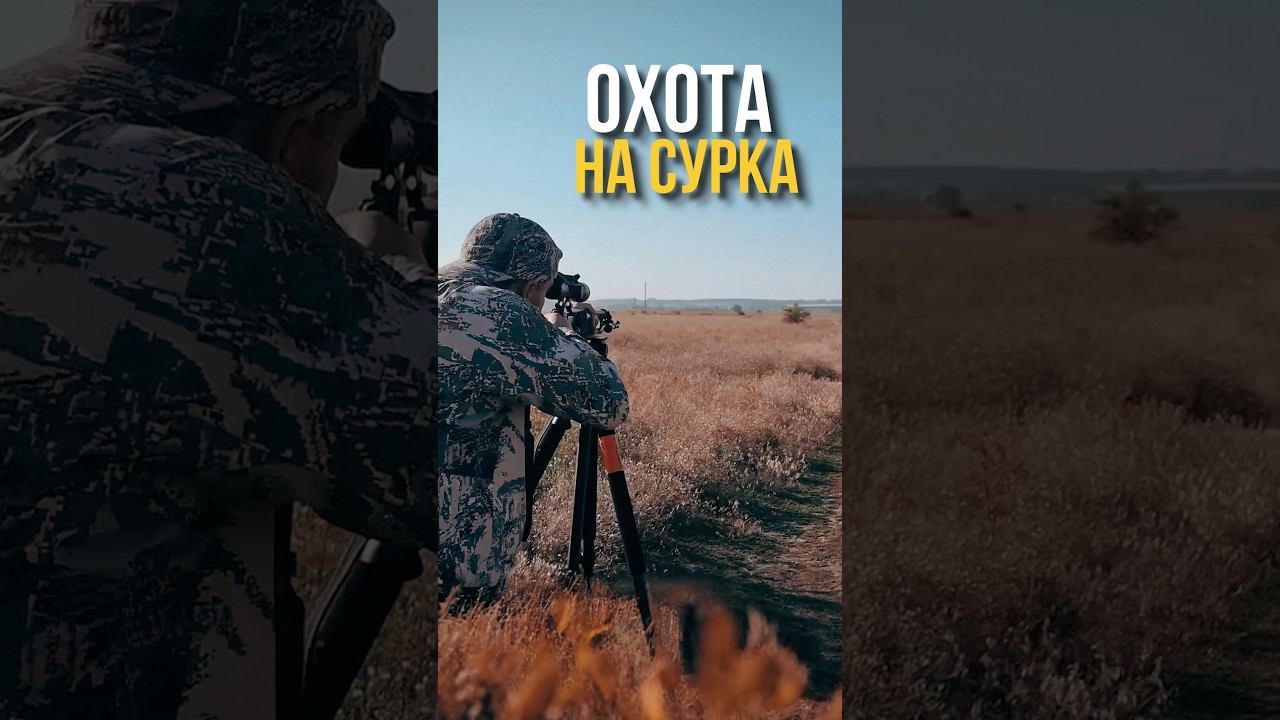 ОХОТА НА СУРКА БАЙБАКА #охотарыбалка #добыча #охота #охотавроссии #сурок #охотавидео #охотамоёхобби