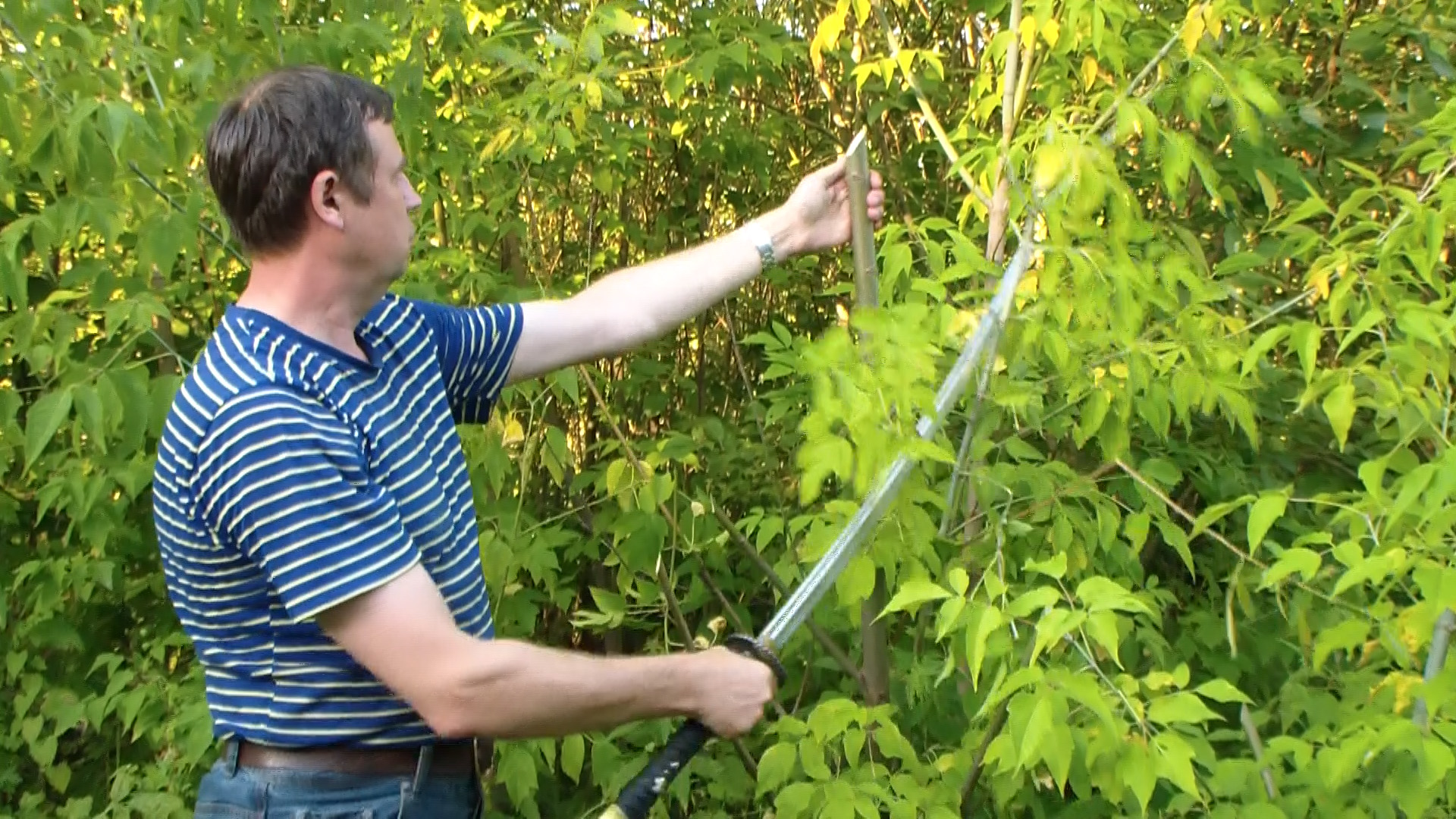 Школа фехтования катаной приемы тамэсигири - рубка катаной, удар снизу вверх