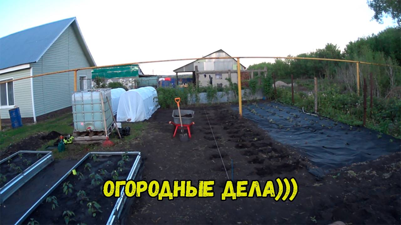 🍅🍆🍇Огородные дела...