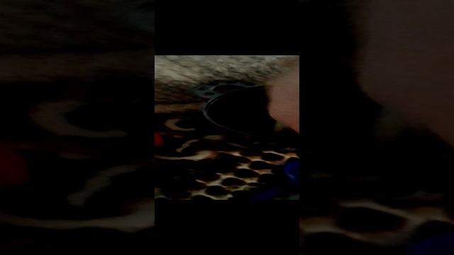 КАК ПРИГОТОВИТЬ.