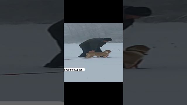 Первый приветик от выпускницы