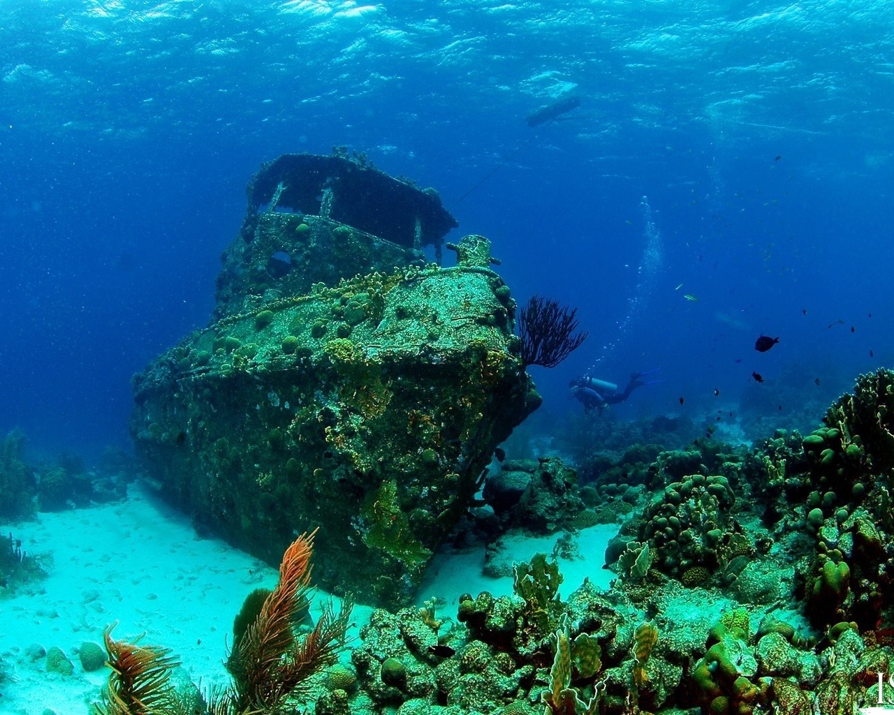 Вьетнам , Фукуок, Прогулка по дну океана часть 1