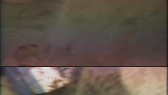 Видеозапись из Сити 17, Half-Life: Alyx (короткометражка)