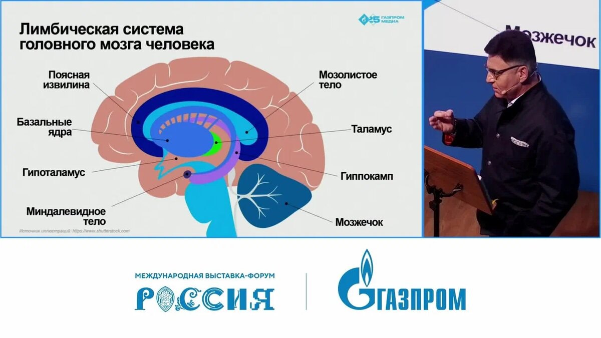 Киногерой нашего времени: нейрофизиология зрительского выбора. Лекция А. Жарова (полная версия)