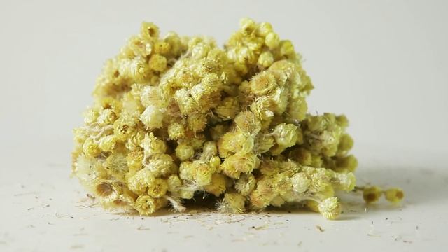 Бессмертник.mp4