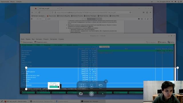 Выполнение лабораторной работы №7