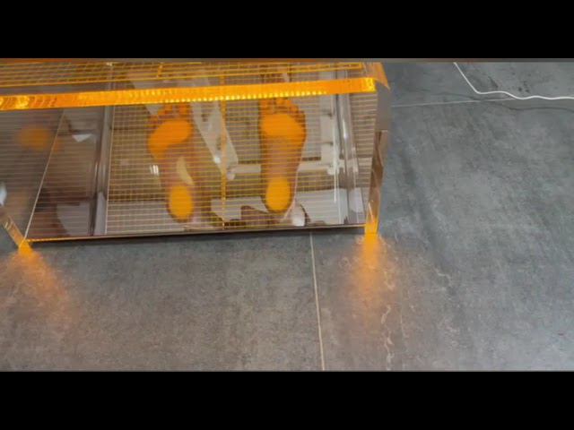 Плантограф (подоскоп) подсветка шафрановая с измерительной сеткой из 15 мм акрила от производителя.