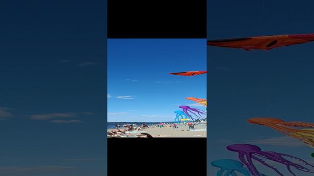 Воздушные змеи на пляже #samara Поддержать канал донатом:www.donationalerts.com/r/korolipeshka