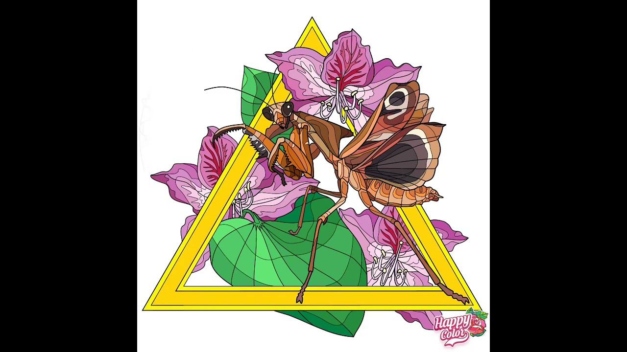 Бабочки 261-270