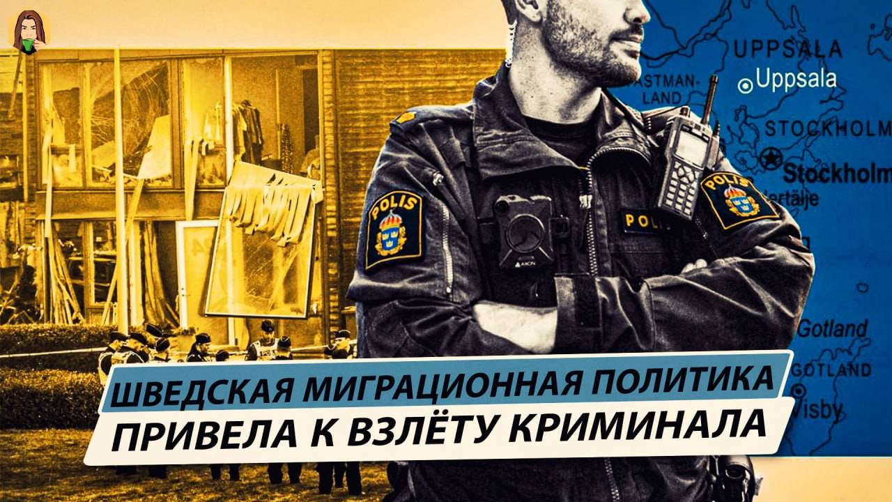 Шведская миграционная политика привела к взлёту криминала [Анна Сочина. Аналитика]