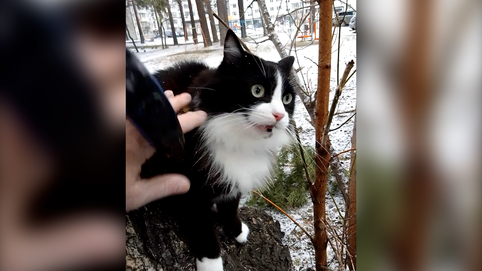 Сибирский ПЕРВОМАЙ