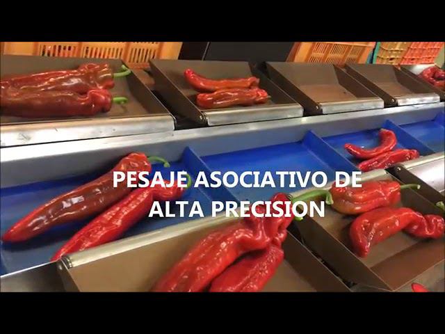 Взвешивание расфасовка перца