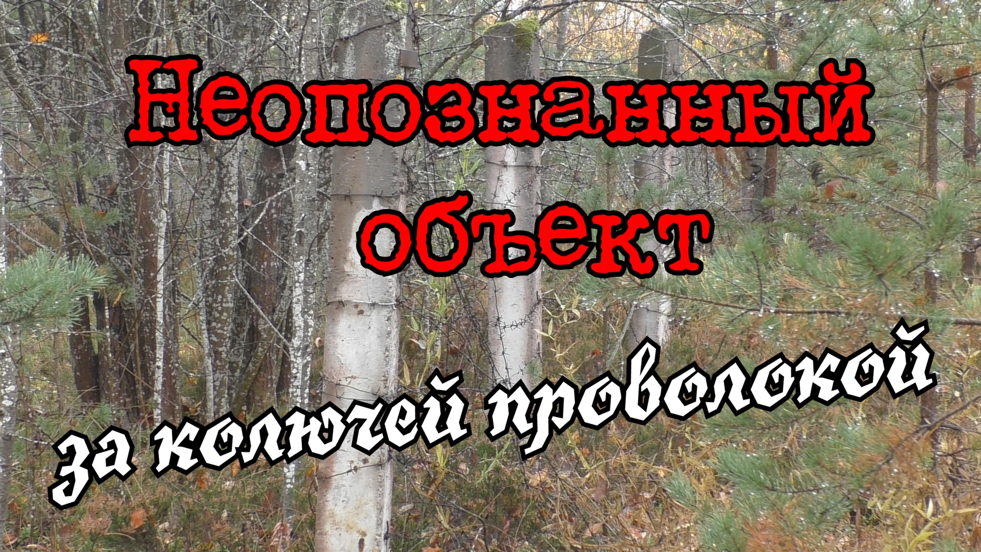 Неопознанный металлический объект за колючей проволокой