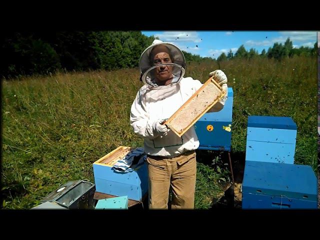 Пасека у родника. Пчеловодство.Нефтекамск.