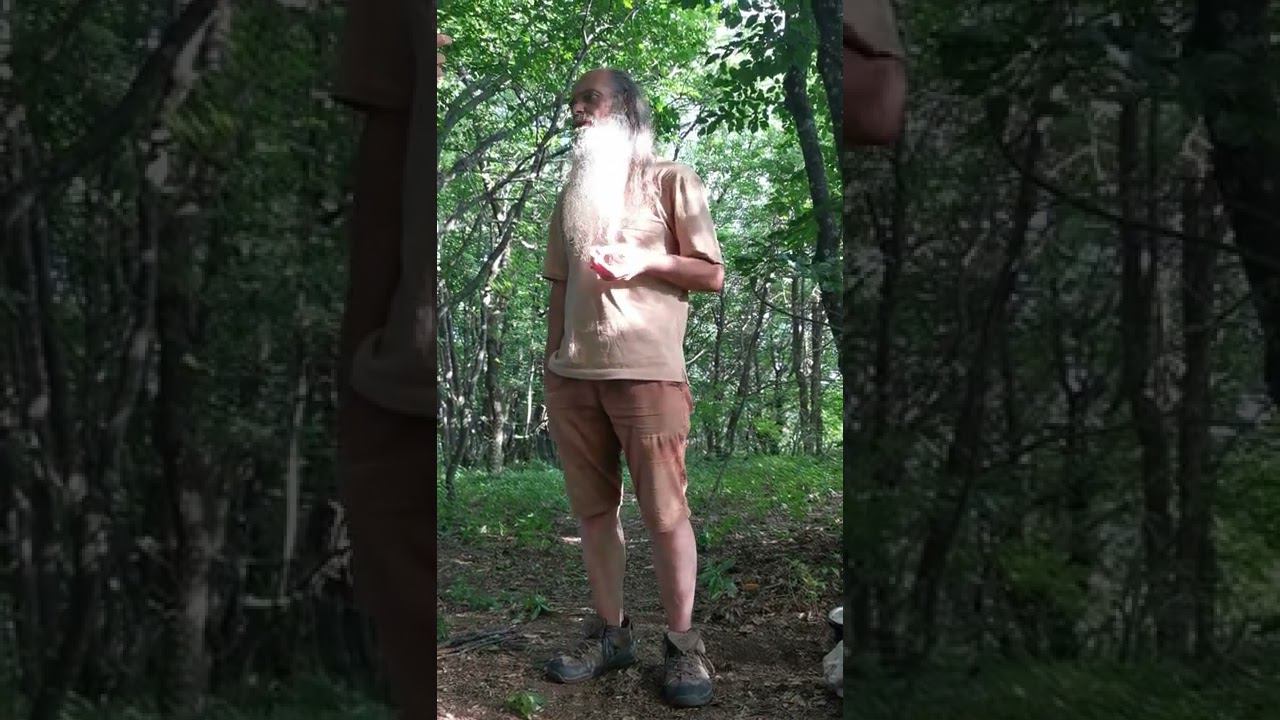 ЛАД  Сказ  Великий переход  Теоритическая подготовка
