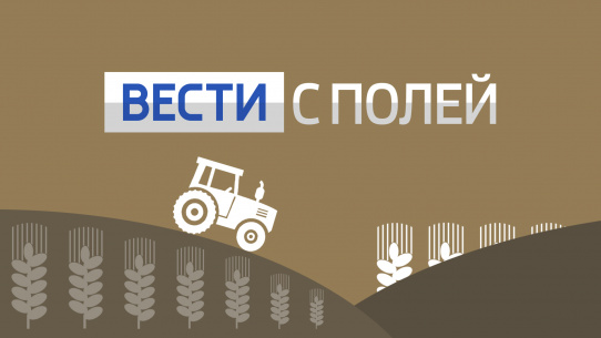 Вести с полей развитие аквакультуры