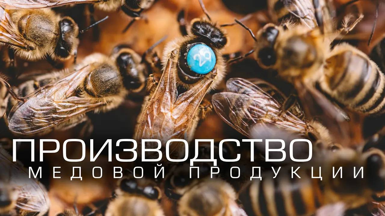 Производство медовой продукции (пчелопакеты)