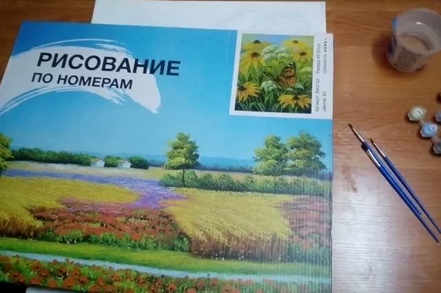 Подготовка нового проект картина по номерам " Цветы и бабочка"