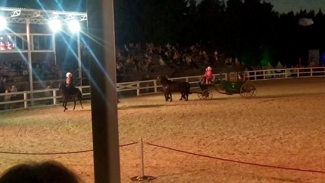 Клуб любителей езды в дамском седле и каскадеры