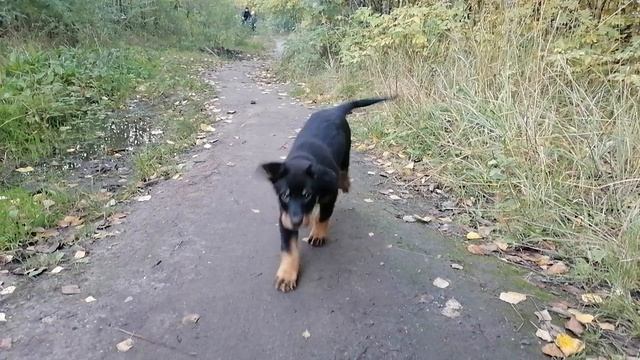 VID_20221001_173716.mp4