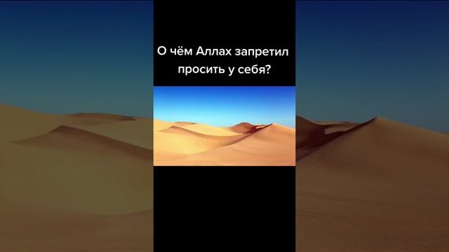 О ЧЕМ АЛЛАХ ЗАПРЕТИЛ ПРОСИТЬ У СЕБЯ.mp4