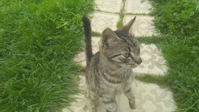 ВЛОГ: поездка на дачу с 28 августа по 1 сентября