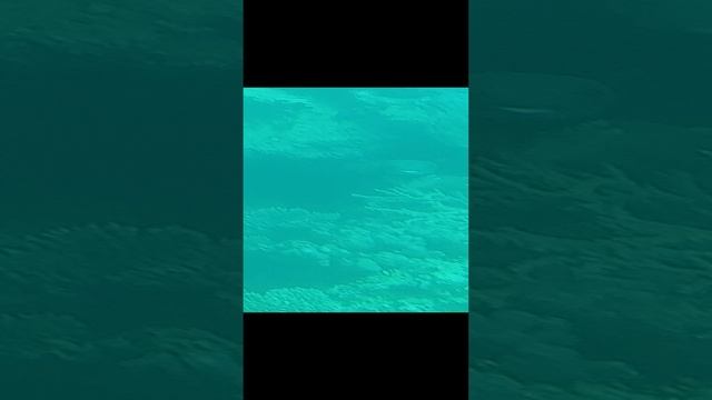 Экскурсия на яхте по Красному морю. Египет. Июль 2023.