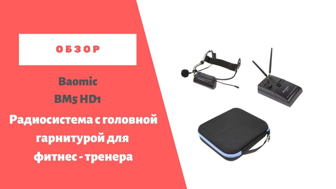 Беспроводной микрофон с головной гарнитурой, для фитнес тренера, спикера, ведущего. BAOMIC BM5 HD1