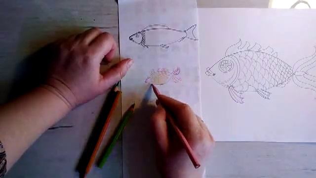 Декоративная рыбка преп. Паршина К.Ю..mp4