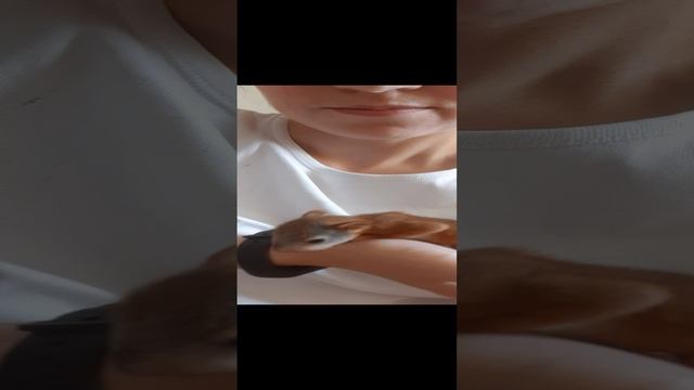 Орешек открыл глаза