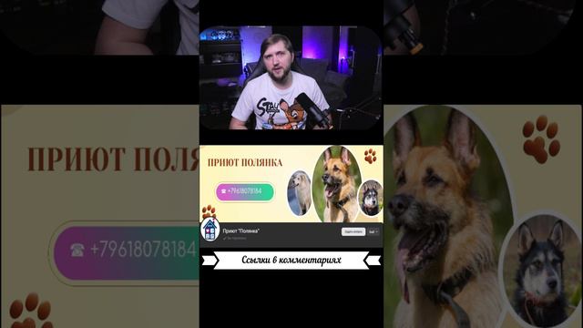 Едем в приют Полянка! Залетай на стрим! #приют #благотворительность #приютполянка