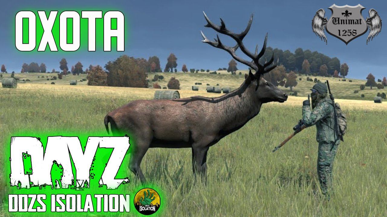 ОХОТА | DAYZ Isolation PVE | #7
