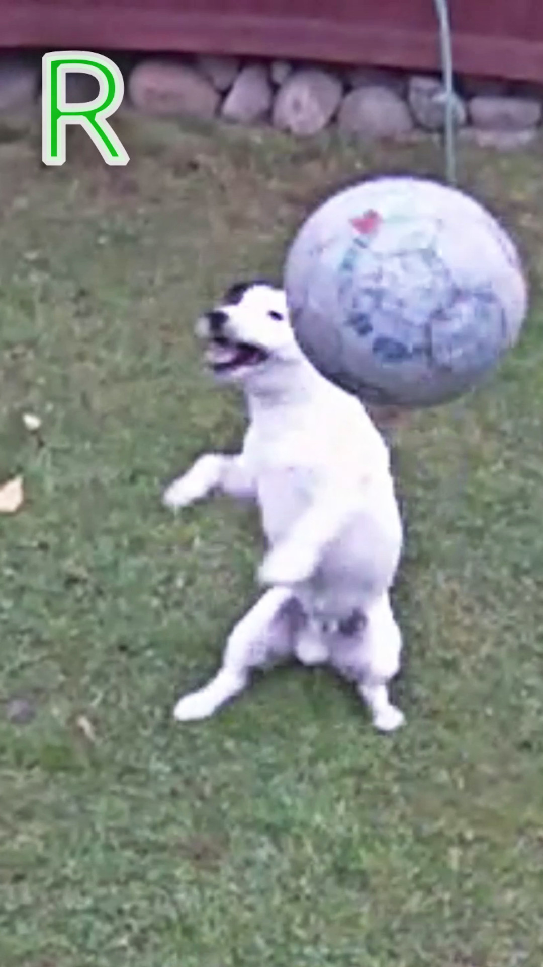 5 лучших сейвов Брайта (сезон 001)