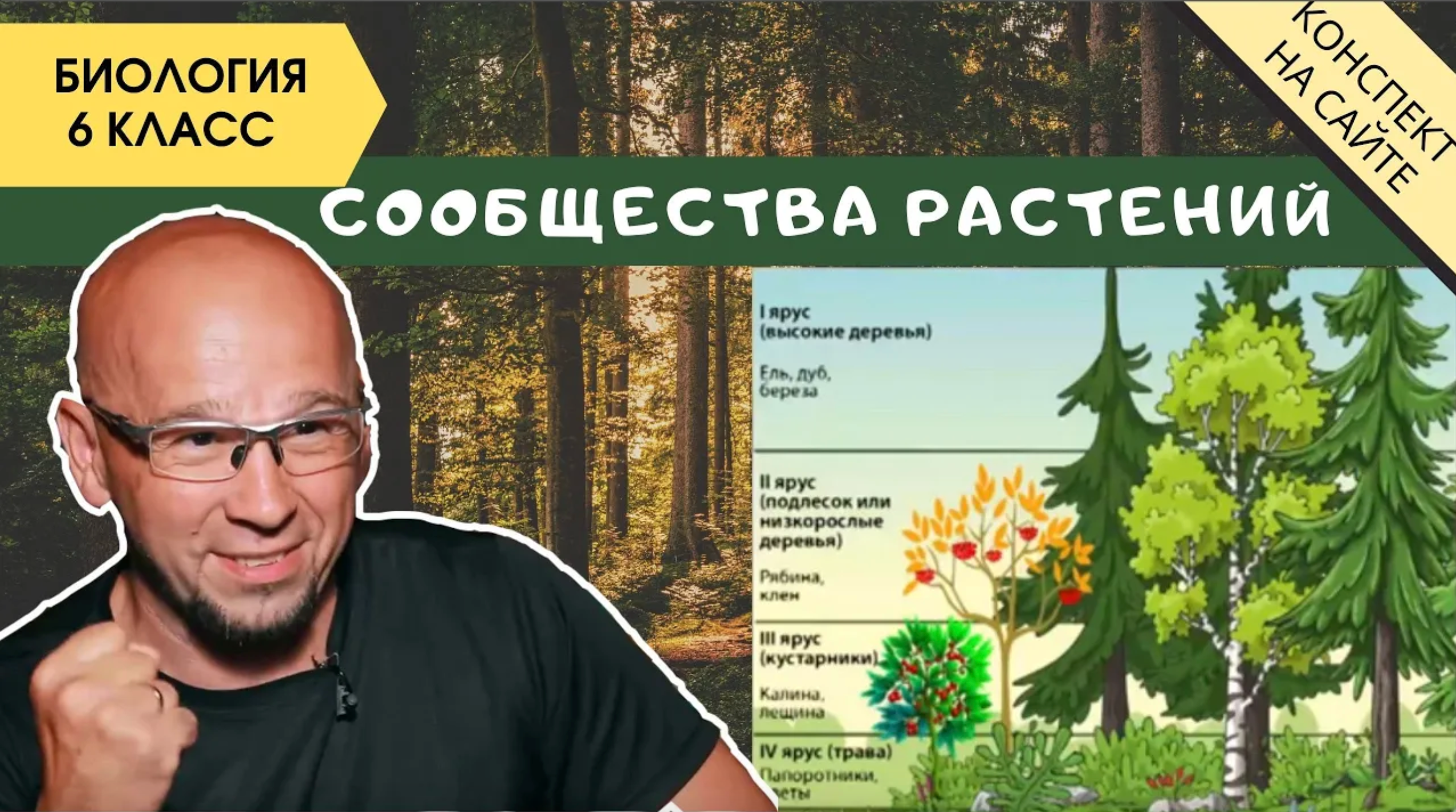 Растительные сообщества природы. Биология 6 класс. Фитоценоз. Симбиоз растений и их взаимодействие