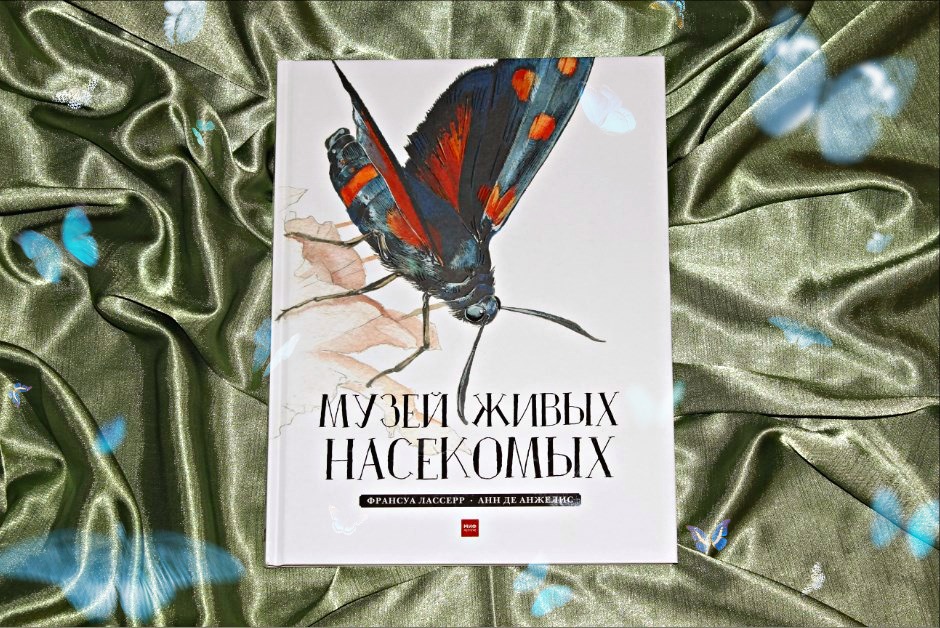 Обзор книги "Музей живых насекомых" Фр. Лассерр изд. МИФ