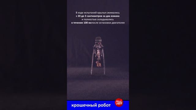 имитация полёта жука-носорога#shorts #анонс #технология #новости