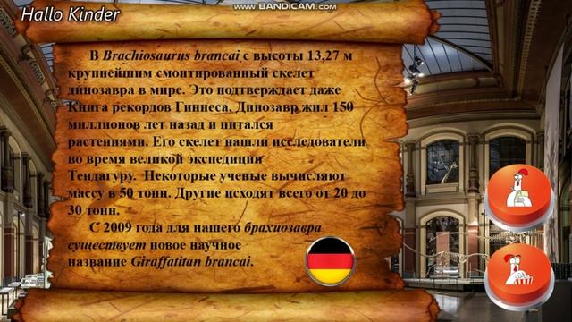 Giraffatitan brancai  shorts