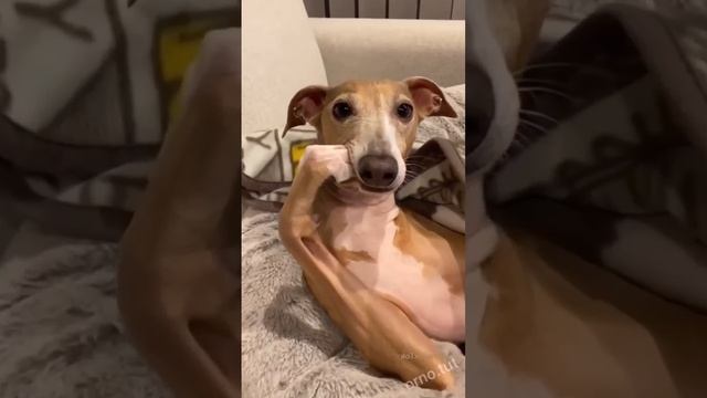 Фото на альбом