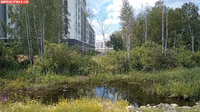 ЖК Мичуринский (новый) 17.07.2024