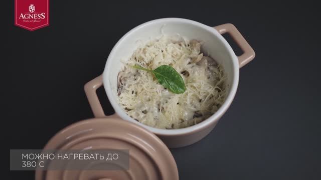 -15% НА ПОСУДУ ДЛЯ ЗАПЕКАНИЯ "AGNESS"