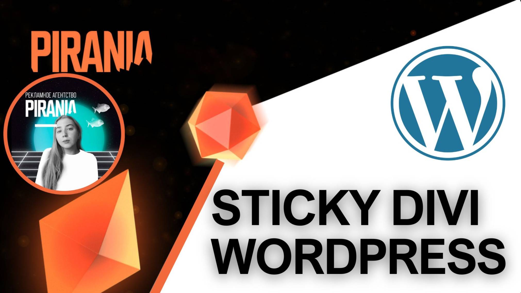 Параметр Sticky Divi WordPress для шапки сайта
