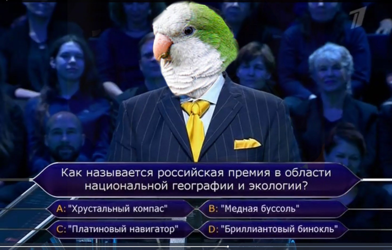 Яша хочет стать милионером.