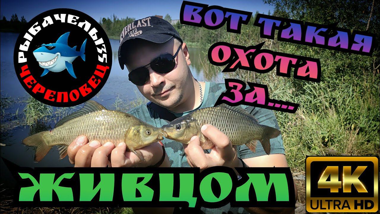 Рыбалка в 4к на карпа!!!  Половили живца!!!)))