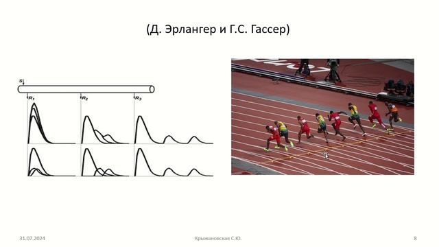 Нервные волокна, нервы, нервные окончания